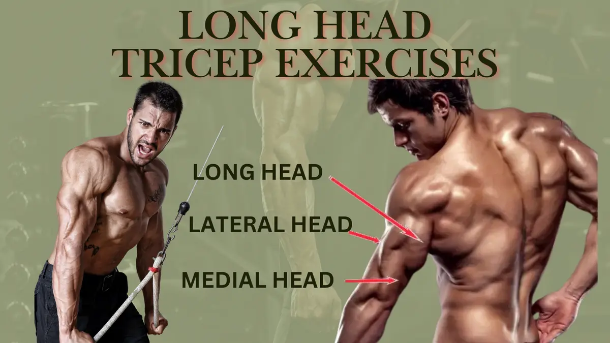 10 Best Long Head Tricep Exercises for Bigger and Stronger Arms - AWAIS MUGHAL
